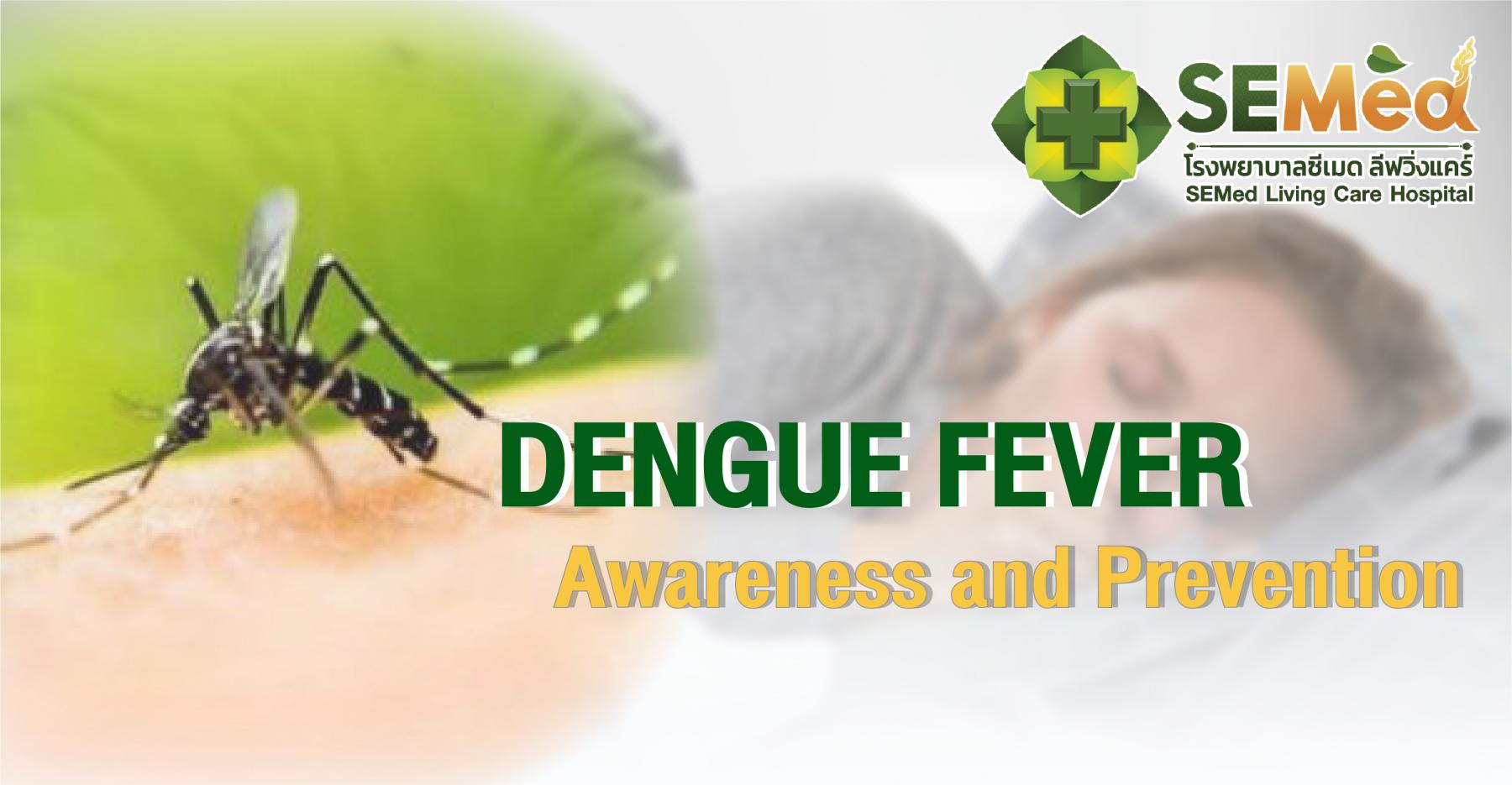 Dengue Fever: Understanding the Symptoms and Prevention