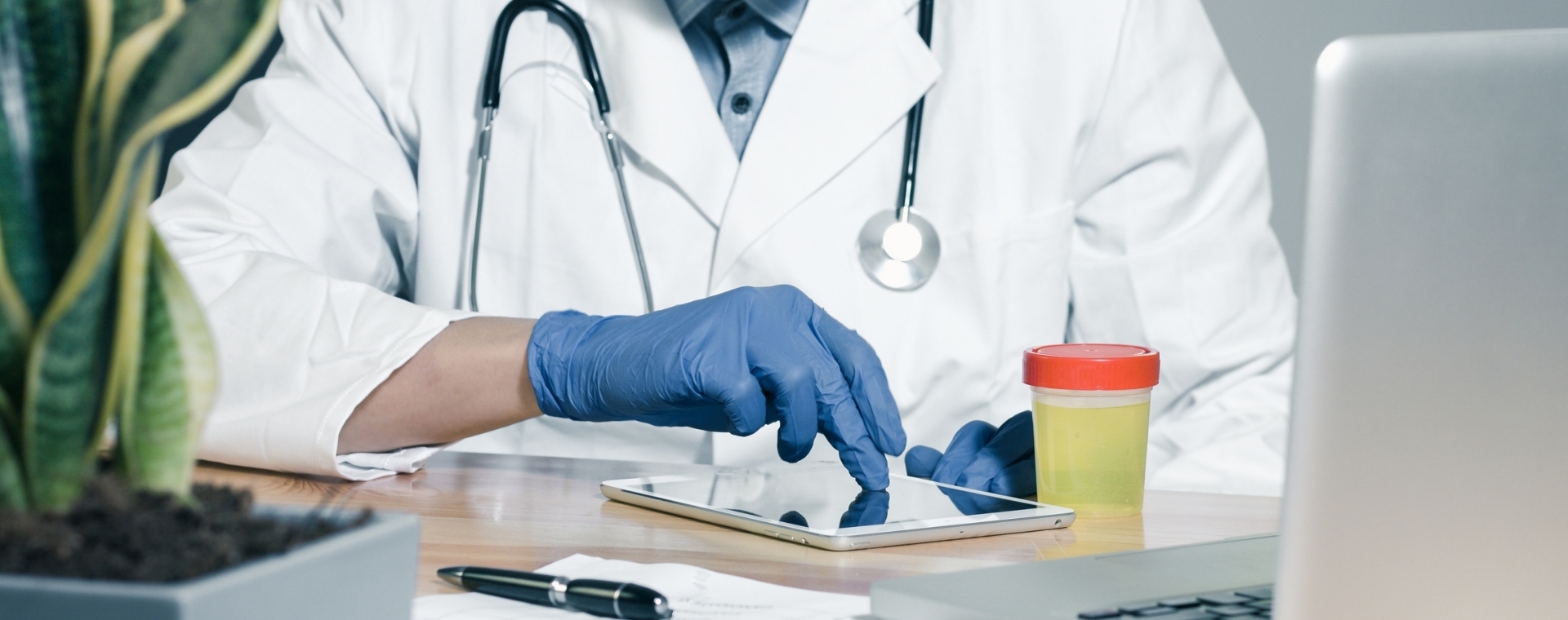 Urine Test: Key Insights from Your Urine Sample - SEMed